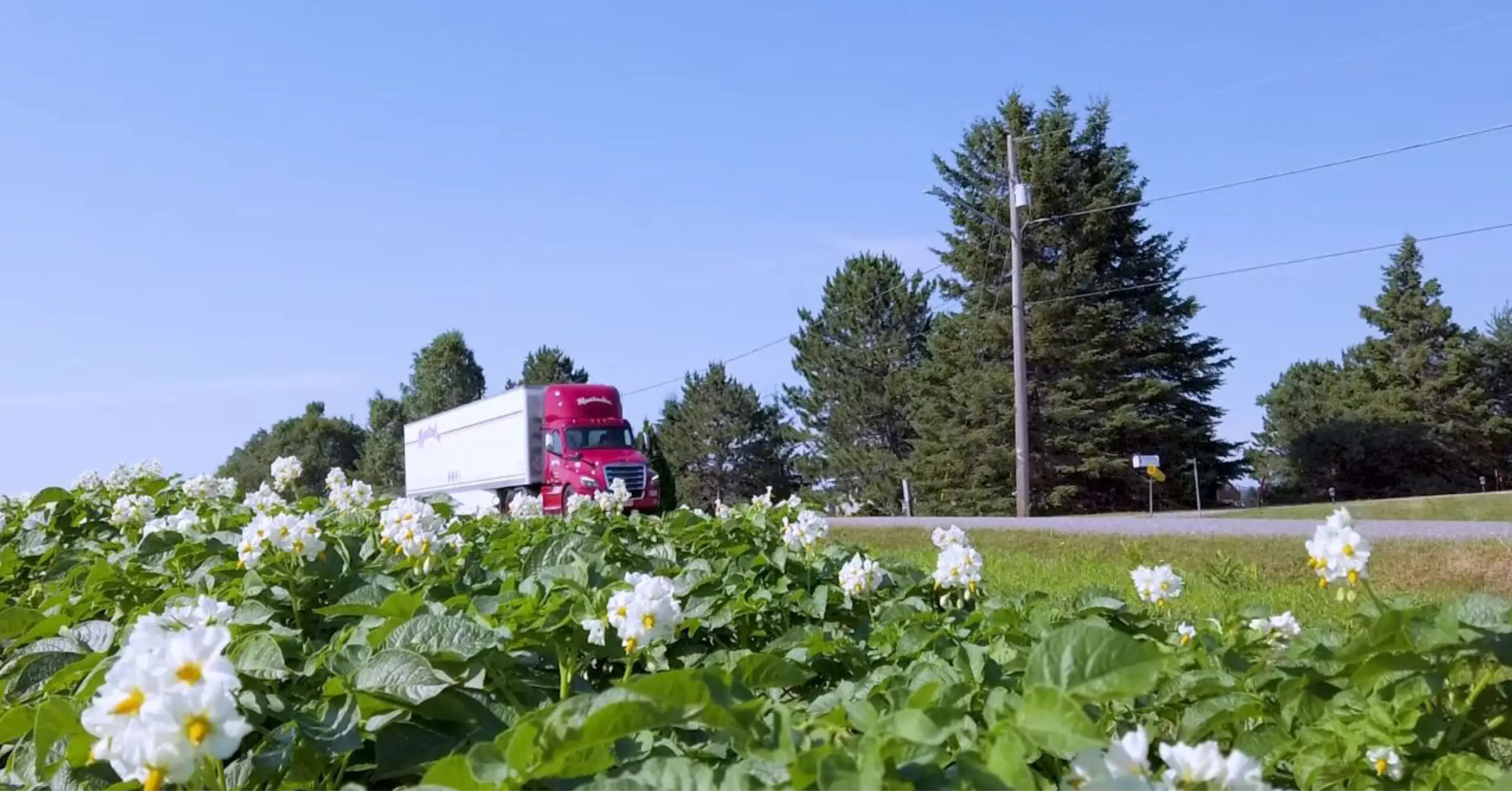 Articles | Manitoulin Transport